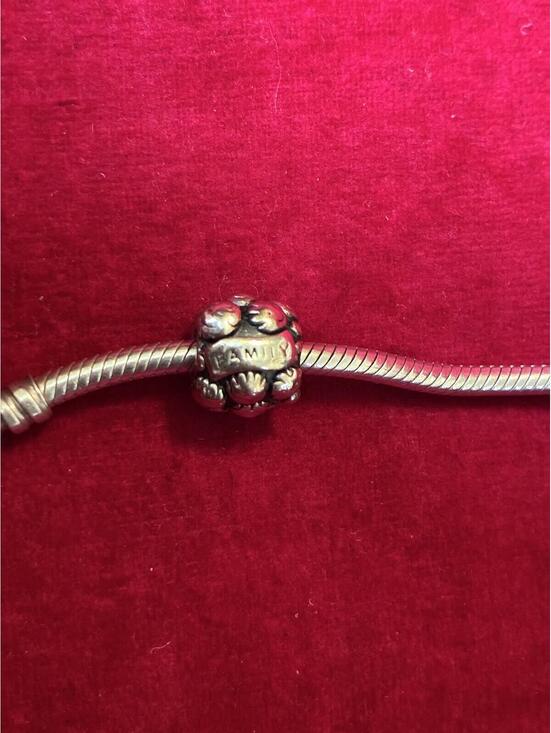 Pandora | Jewelry | Authentic Pandora Sterling Silver Retired Family ...